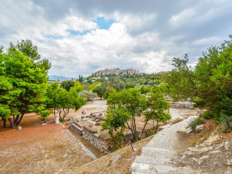 The Plaka District Cats | Cat Photo Safari